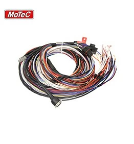 WIRING LOOM FOR M800,M600,M84 MOTEC MTC-61017 (SKU 42-022) | Sport Car ...